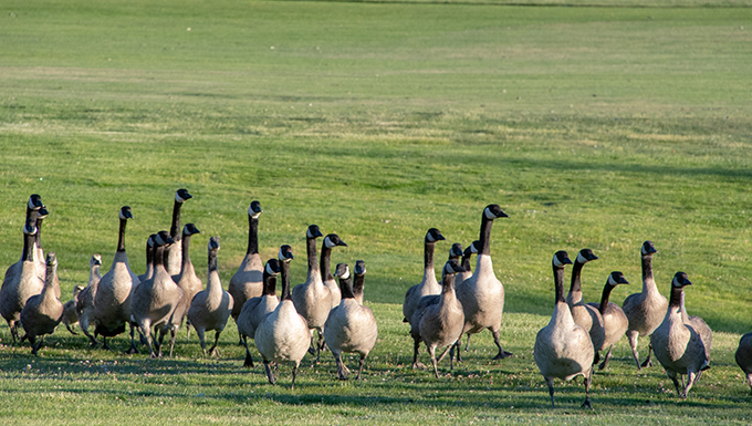 152nd Airlift Wing > Home